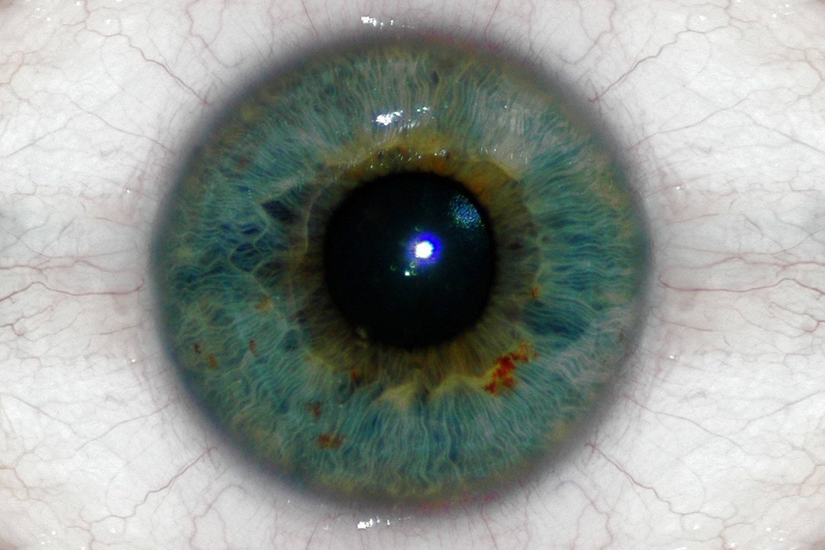 Disney Research delivers hyper-realistic animated eyeballs | WIRED UK