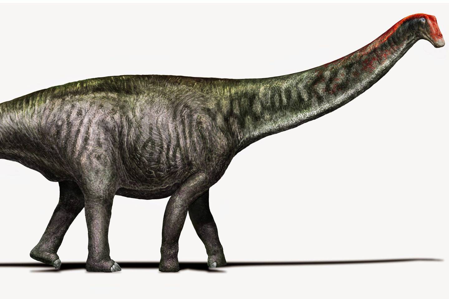 Brontosaurus is back! | WIRED UK