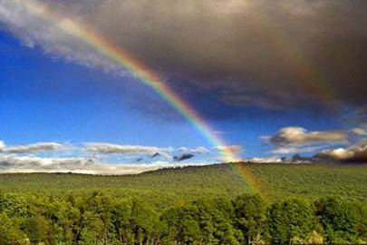 How to predict the weather using nature | WIRED UK