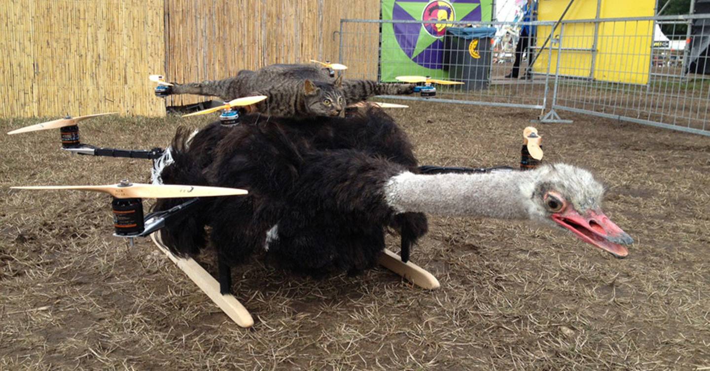 OstrichCopter takes to the skies | WIRED UK